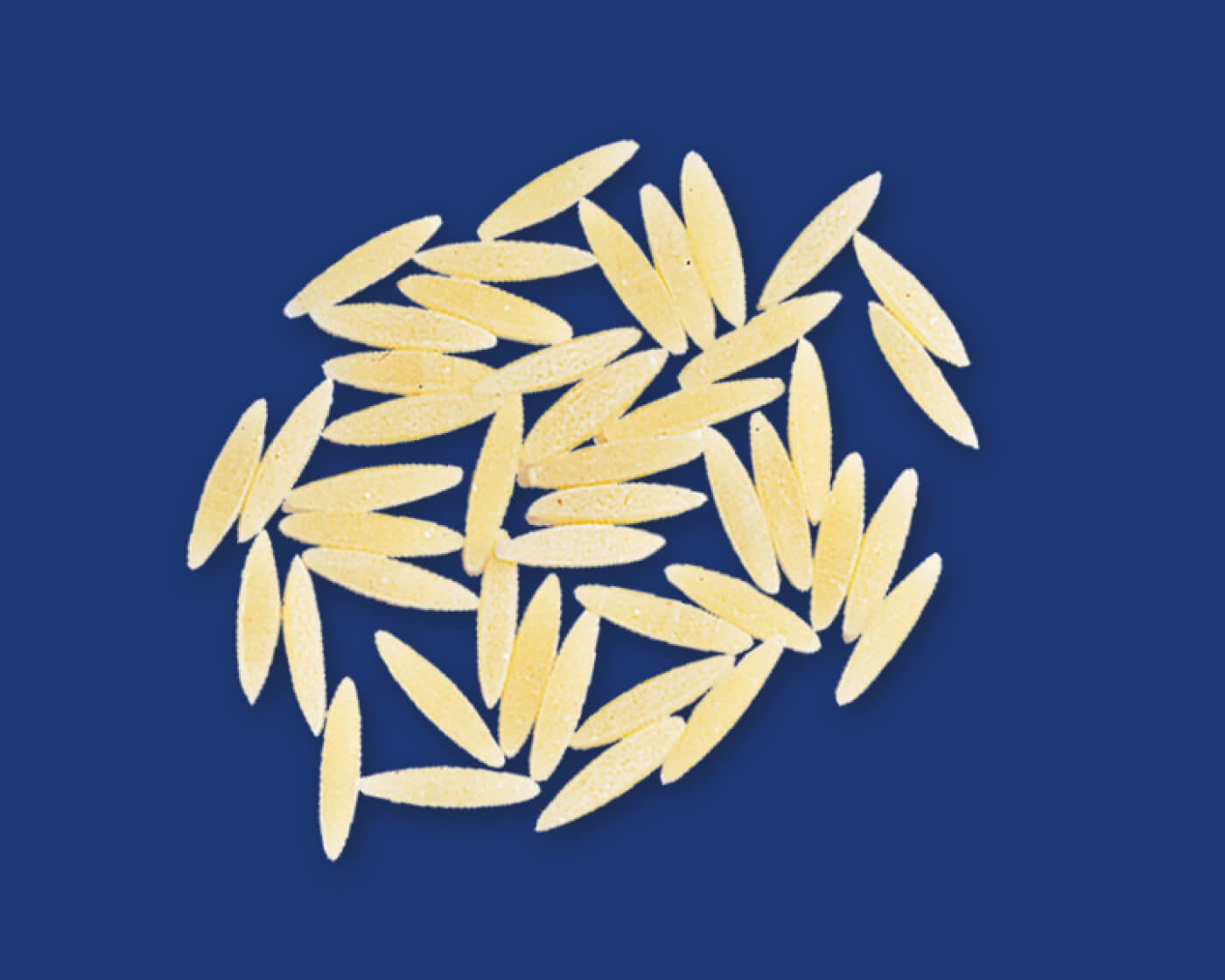Barilla Classic Pasta Foodservice Horeca | Barilla for Professionals USA